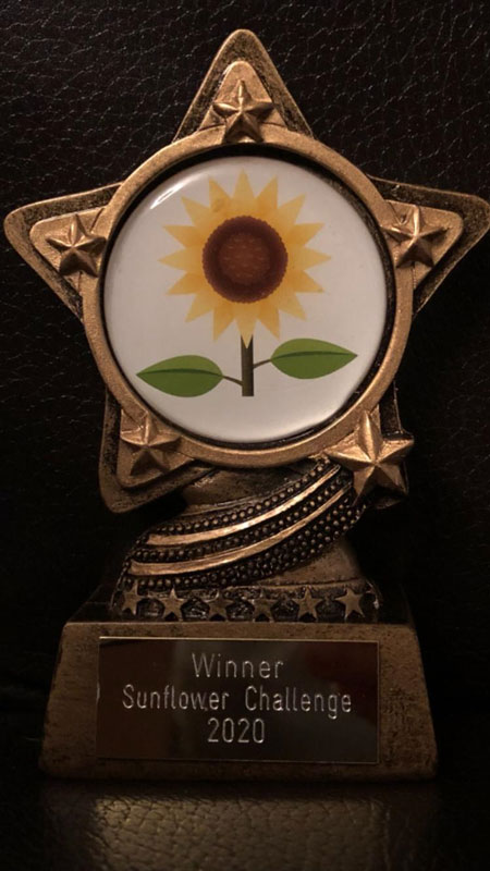 Reaching New Heights in Sunflower Challenge | Staff News